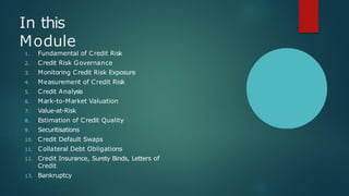 Credit Risk Management lecture notes presentation | PPTX