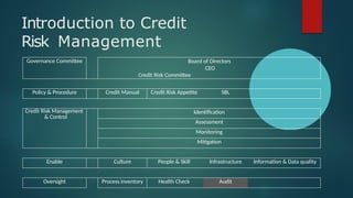 Credit Risk Management lecture notes presentation | PPTX