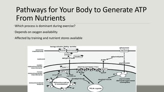 L1 ENERGY METABOLISM DURING EXERCISE.pdf