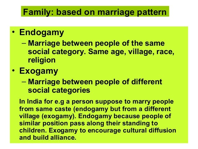 L1 familly structure function comprehensive care
