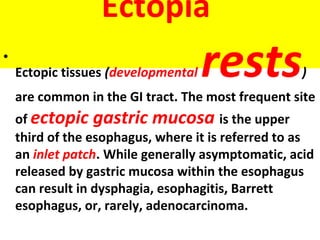 L1 git cong abnormalities | PPT