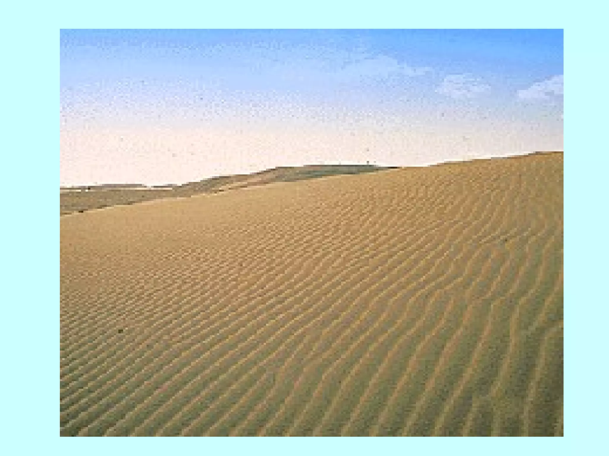 Lesson 1 habitats | PPT