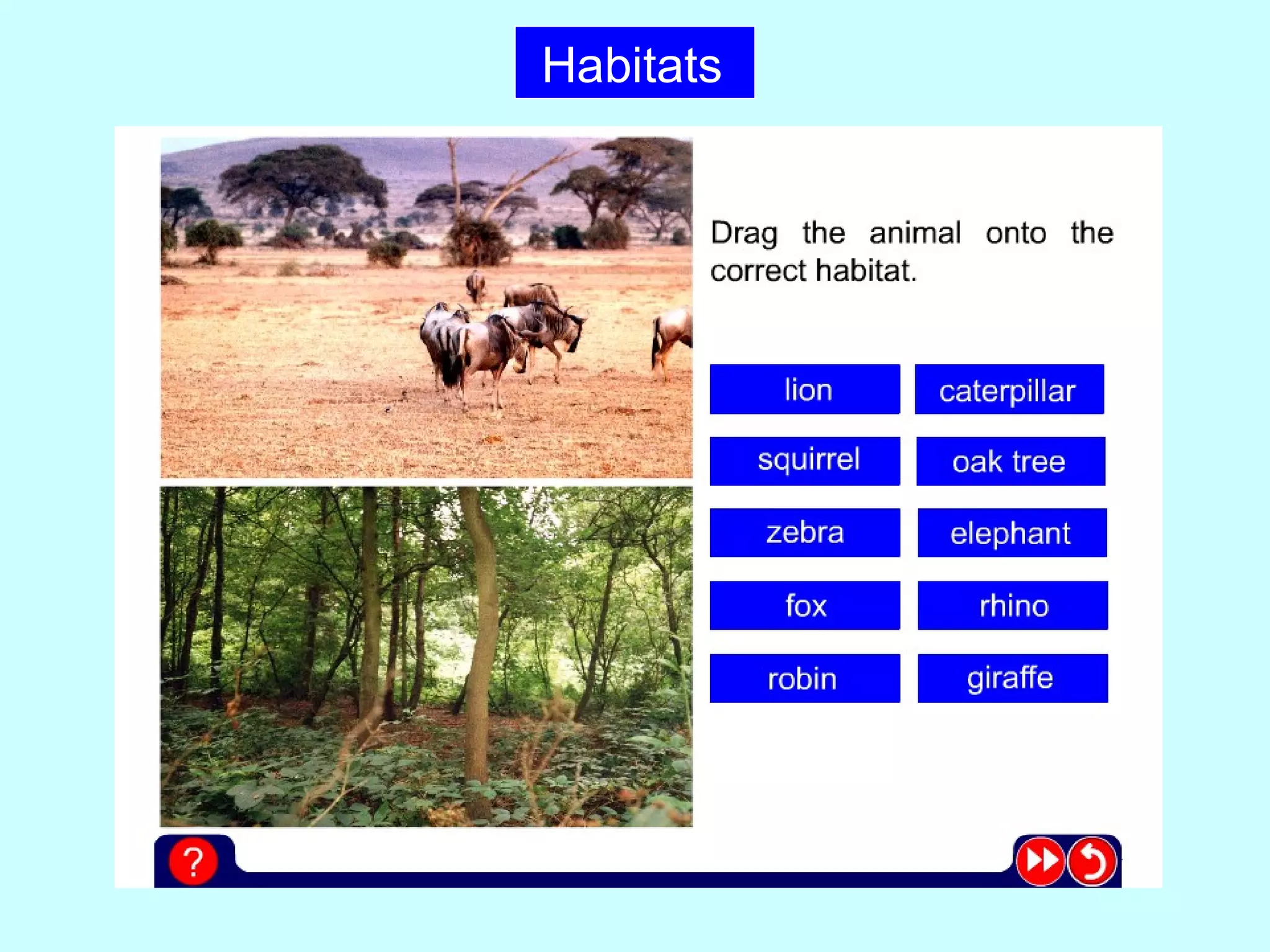 Lesson 1 habitats | PPT