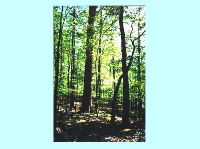 Lesson 1 habitats | PPT