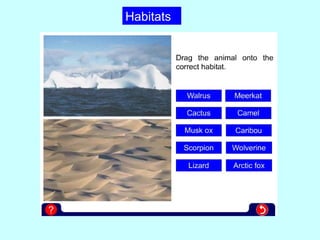 Lesson 1 habitats | PPT