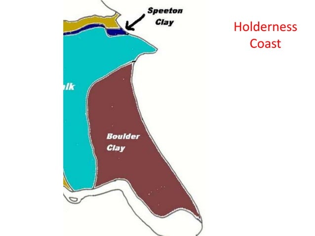 L1 holderness ap | PPTX