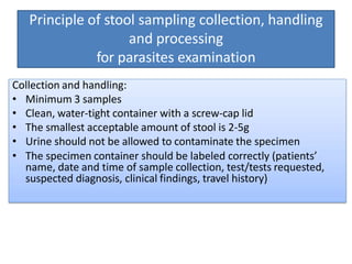 L1 intoduction to helminth.pptx