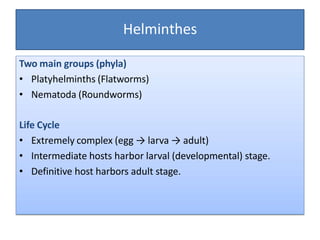 L1 intoduction to helminth.pptx