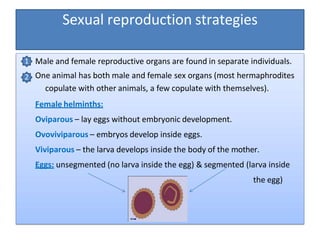 L1 intoduction to helminth.pptx