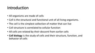 L1 Introduction to cells.pptx