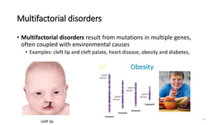 L1 Introduction to genetics.pptx