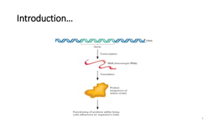 L1 Introduction to genetics.pptx