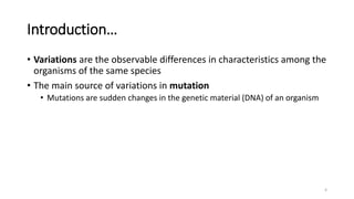 L1 Introduction to genetics.pptx