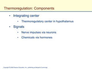 L1 INTRODUCTION TO PHYSIOLOGY.ppt