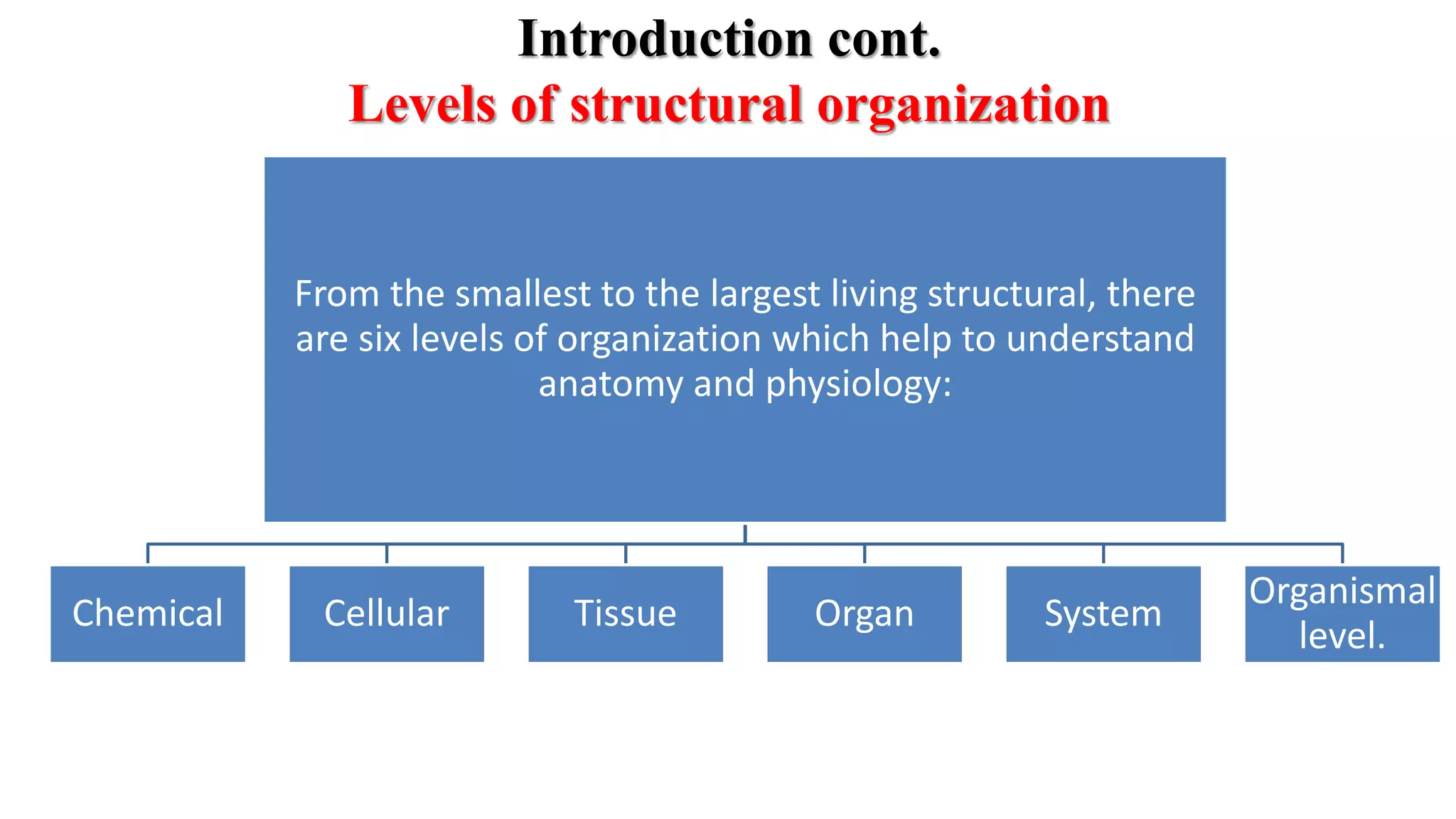 L1 INTRODUCTION TO PHYSIOLOGY & BODY FLUIDS COMPARTMENTS.pptx ...