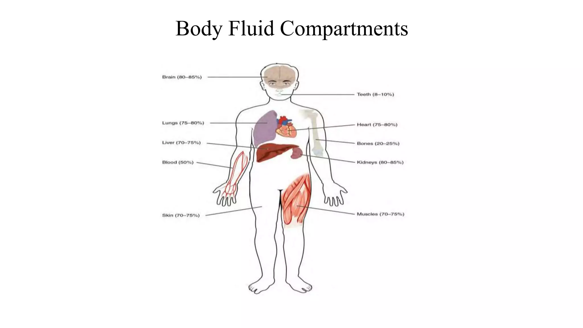 L1 INTRODUCTION TO PHYSIOLOGY & BODY FLUIDS COMPARTMENTS.pptx ...