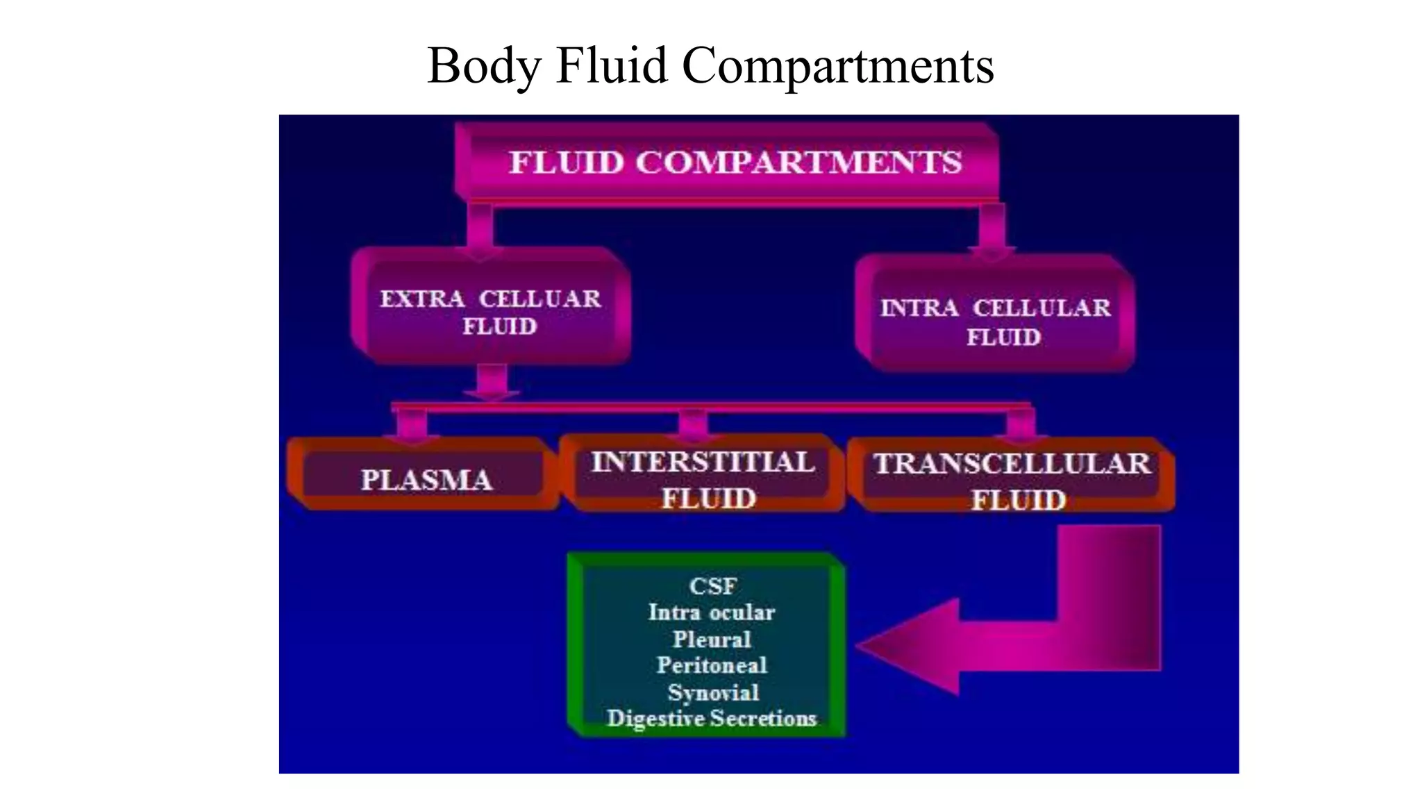 L1 INTRODUCTION TO PHYSIOLOGY & BODY FLUIDS COMPARTMENTS.pptx ...