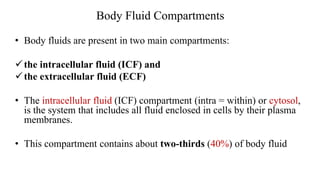 L1 INTRODUCTION TO PHYSIOLOGY & BODY FLUIDS COMPARTMENTS.pptx