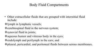 L1 INTRODUCTION TO PHYSIOLOGY & BODY FLUIDS COMPARTMENTS.pptx