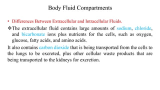 L1 INTRODUCTION TO PHYSIOLOGY & BODY FLUIDS COMPARTMENTS.pptx