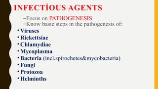 L1 Introduction to System Pathology.pptx