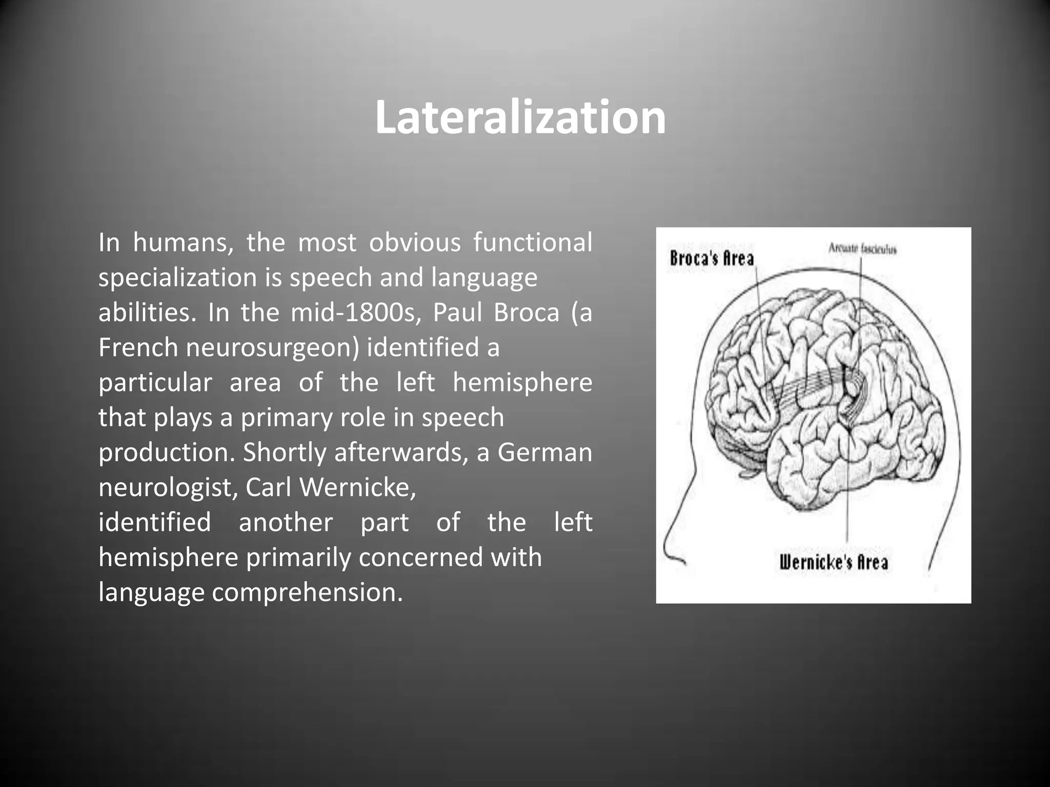 L language acquisition ii | PPTX
