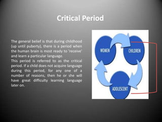 L language acquisition ii | PPTX
