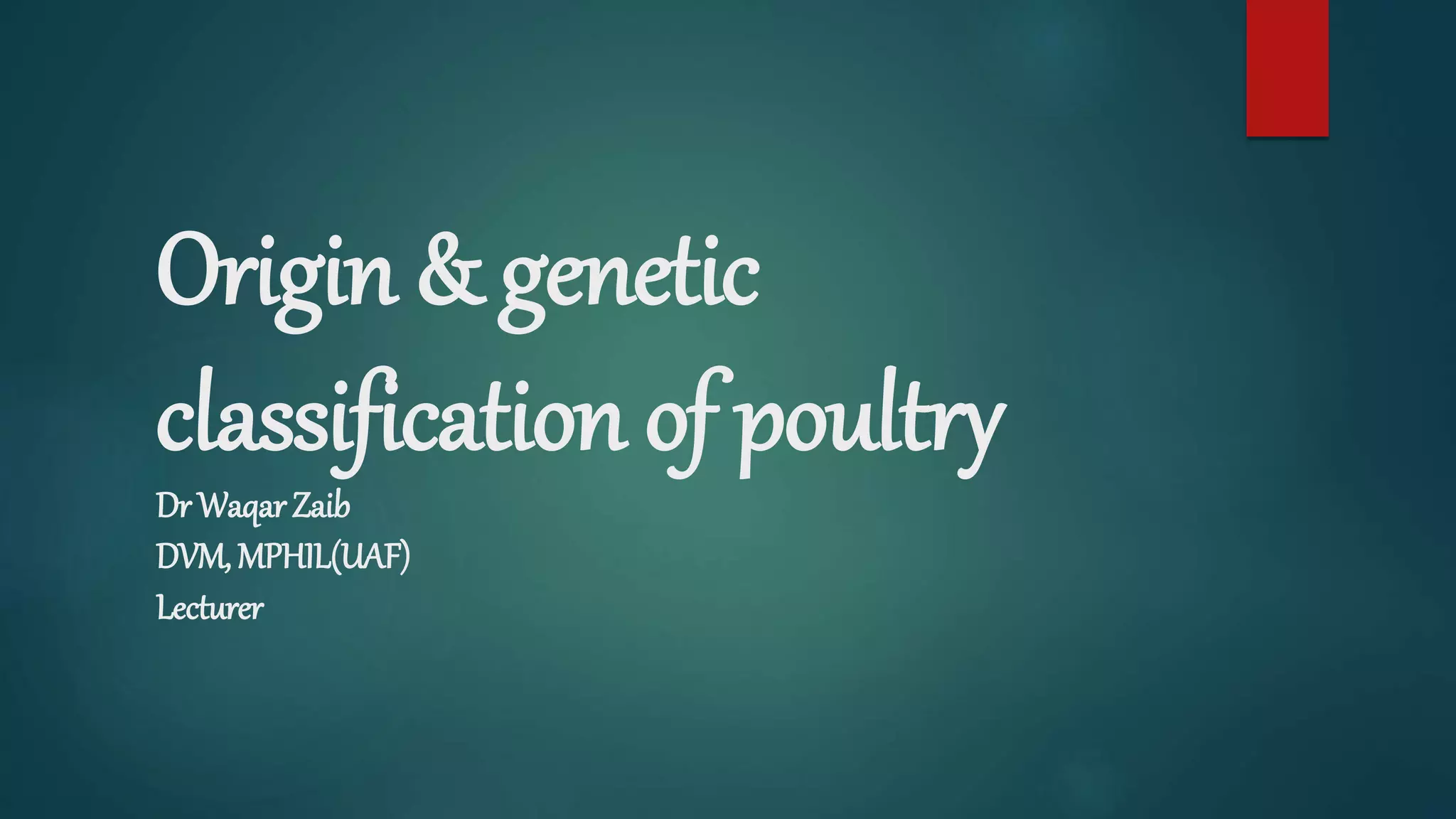 L1 origin and classification of poultry-1.pptx