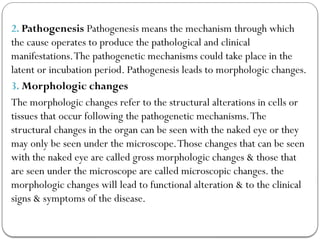 Introduction to pathology : Cell Injury | PPT