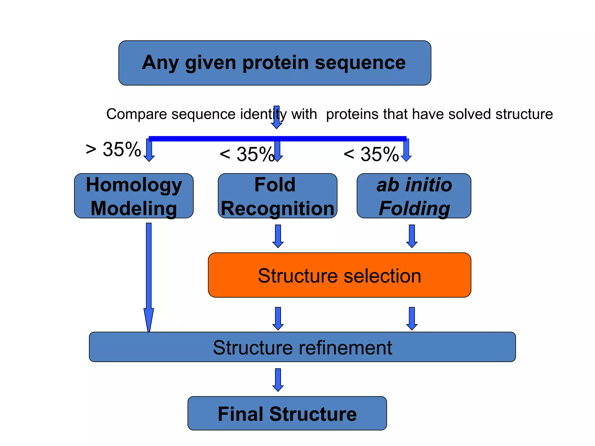 L1Protein_Structure_Analysis.pptx