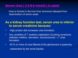 L1) Renal function tests.pdf lmmu, lusaka | PPT