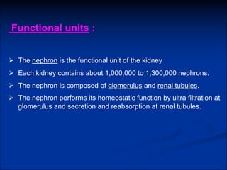 L1) Renal function tests.pdf lmmu, lusaka | PPT