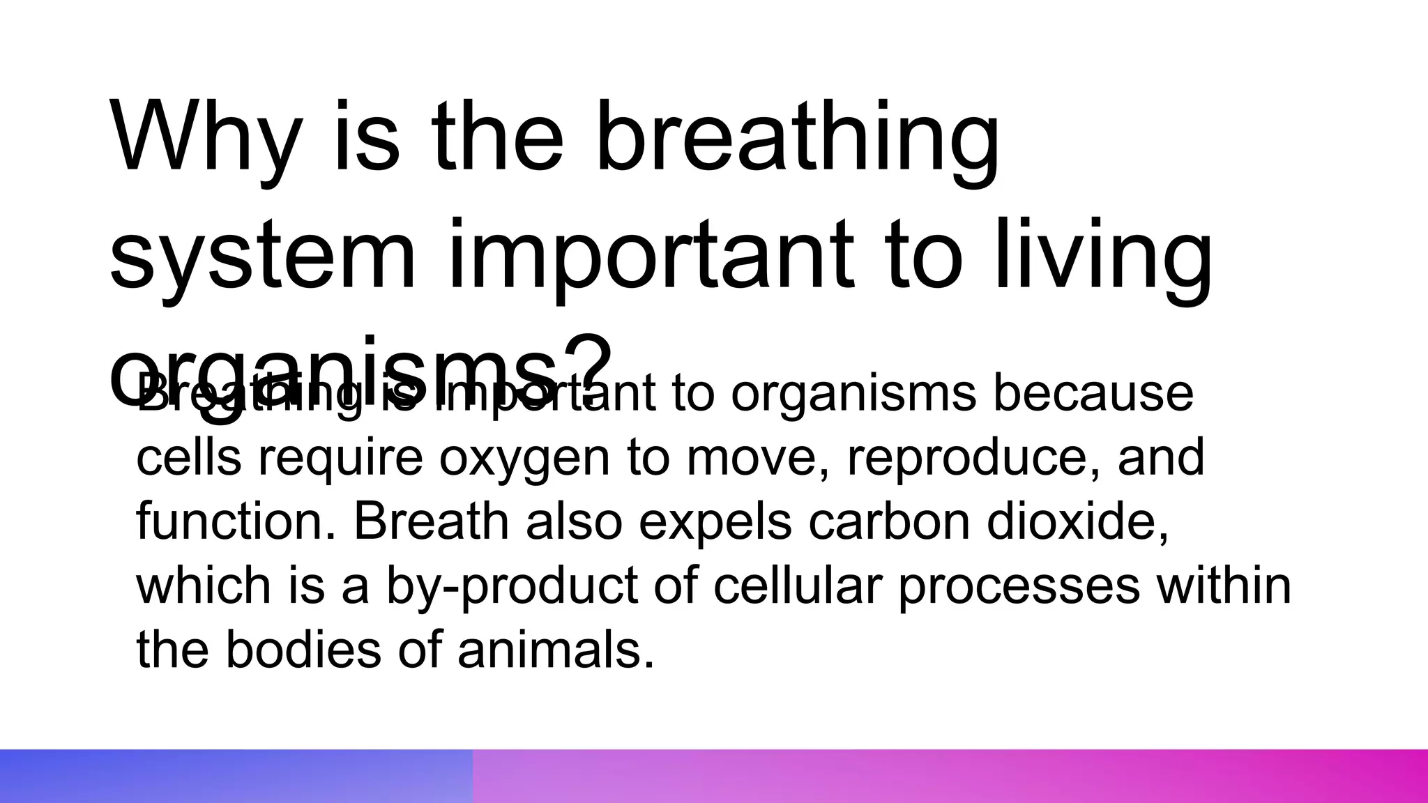 L1 Respiratory System.pptx