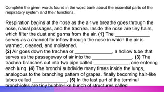 L1 Respiratory System.pptx