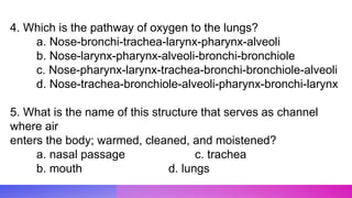 L1 Respiratory System.pptx