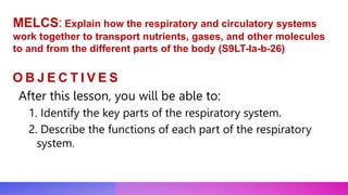 L1 Respiratory System.pptx