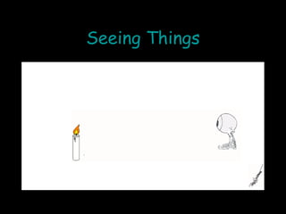 L1 seeingthings | PPT