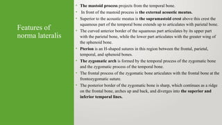 Anatomy of the head and neck, skull osteology | PPTX