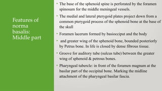 Anatomy of the head and neck, skull osteology | PPTX