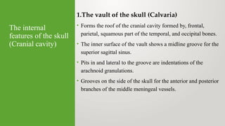 Anatomy of the head and neck, skull osteology | PPTX