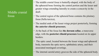 Anatomy of the head and neck, skull osteology | PPTX