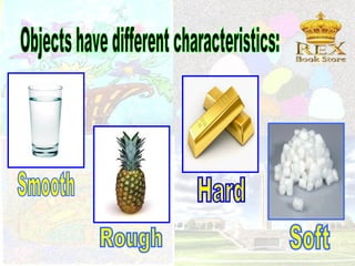 Images Of Rough Objects