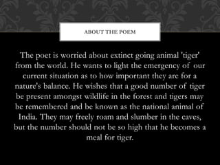 L1 tigers forever | PPTX