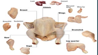 L1 tle8 poultry and process | PPTX