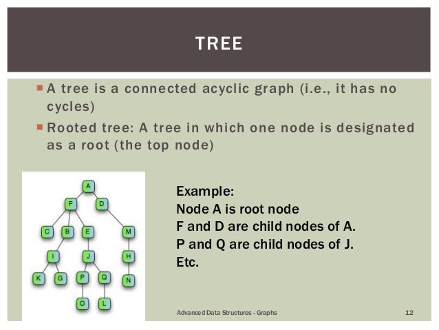 Graphs, Trees, Paths and Their Representations