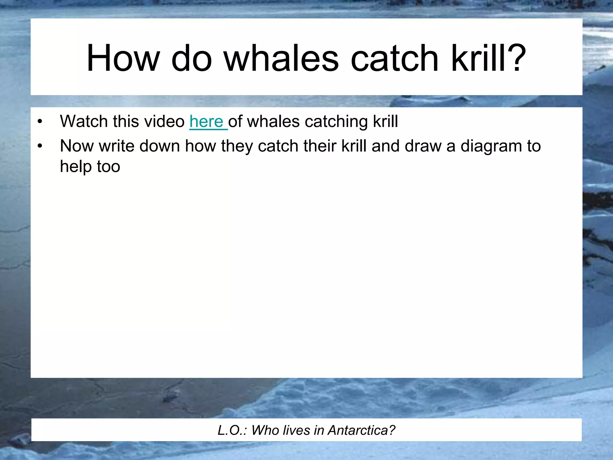 L2. antarctica food chain and wildlife ap | PPTX