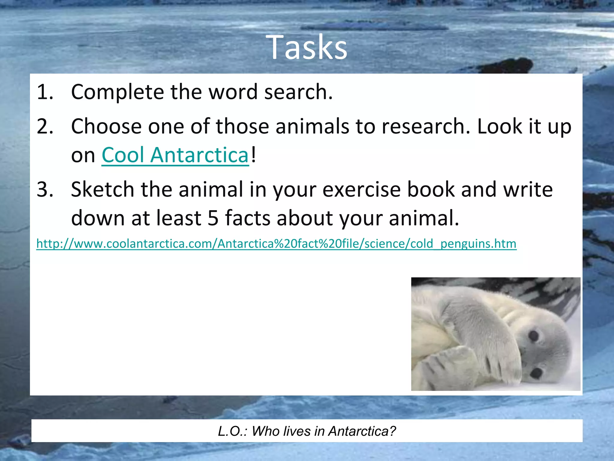 L2. antarctica food chain and wildlife ap | PPTX