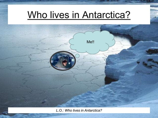 L2. antarctica food chain and wildlife ap | PPTX | Geography | Science