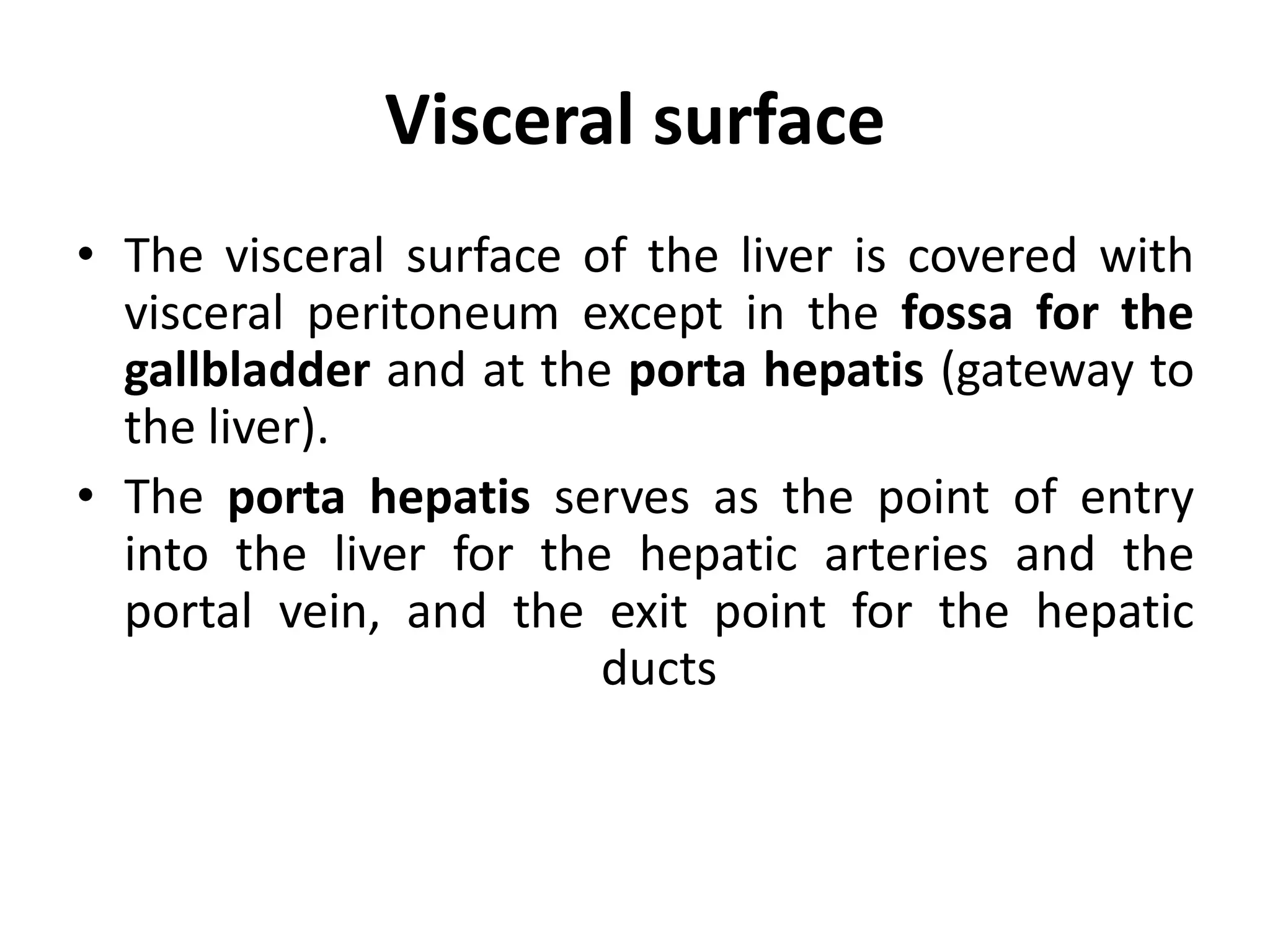 L2.11 liver pancreas peritoneum pdf | PDF