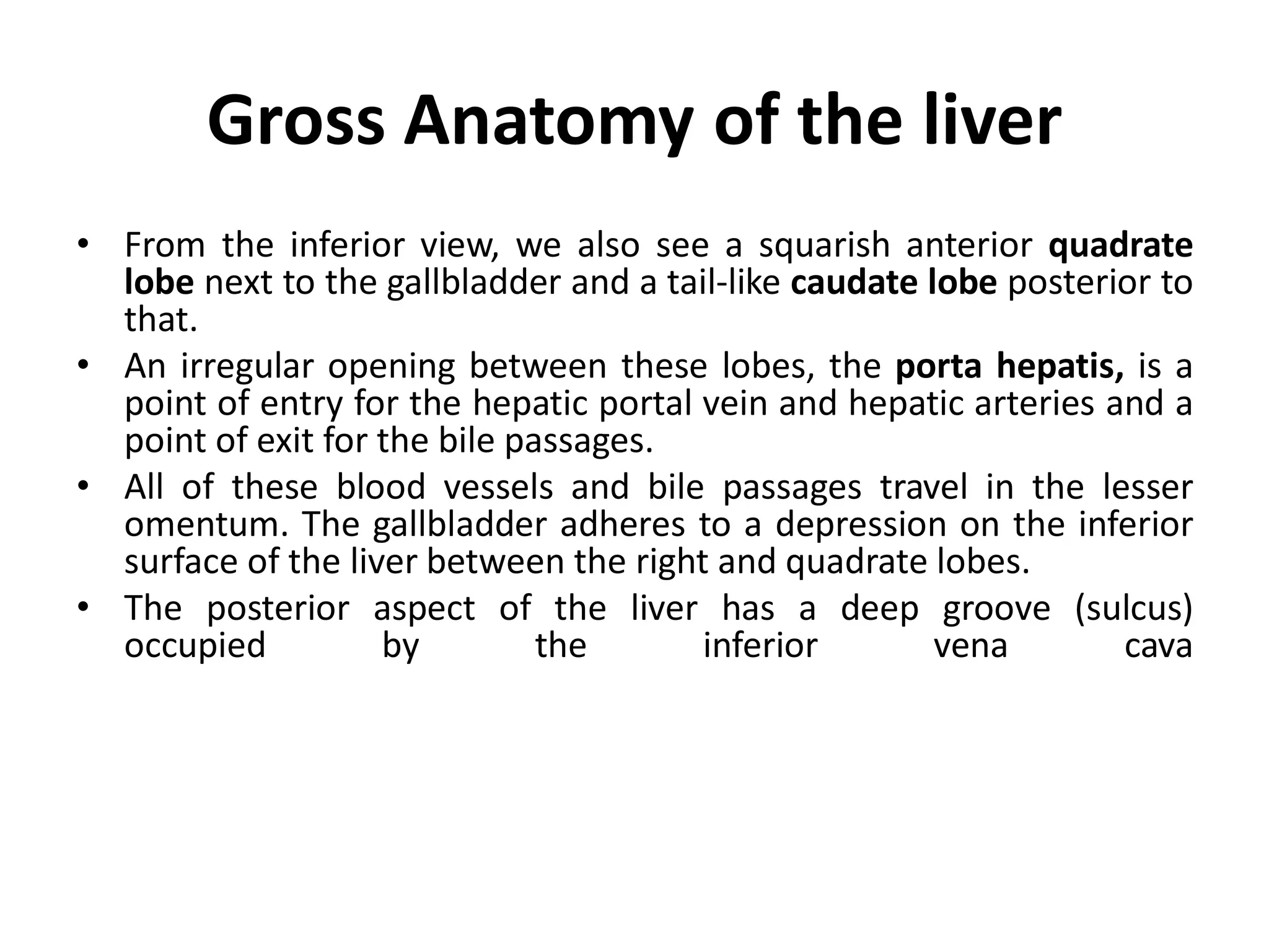 L2.11 liver pancreas peritoneum pdf | PDF